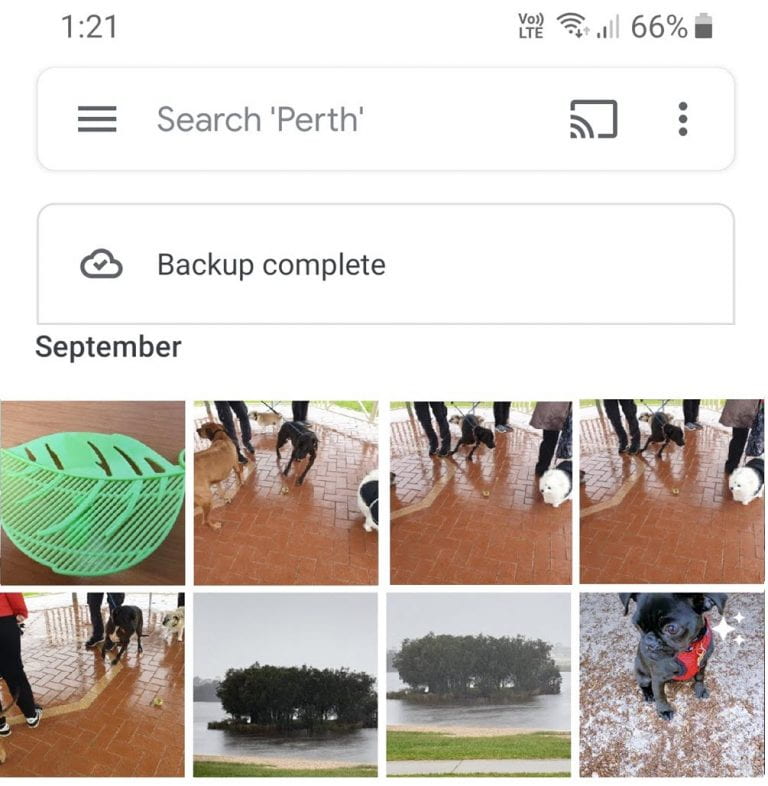 A Beginner's Guide To Google Lens -- read and understand information ...