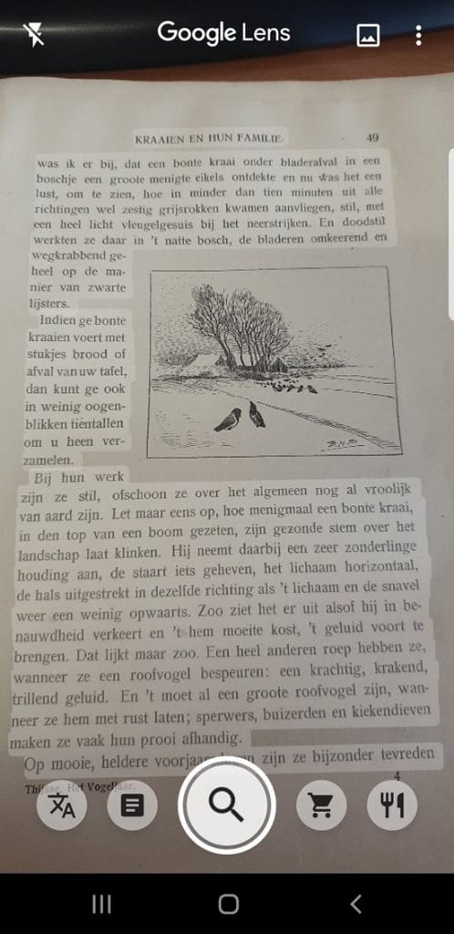 A Beginner's Guide To Google Lens -- read and understand information ...