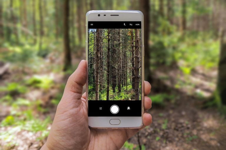 A Beginner's Guide To Google Lens -- read and understand information ...